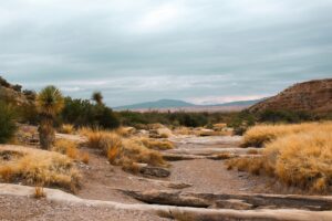 Desert Camping: The Ultimate Guide for Adventurers | Prepped Camper